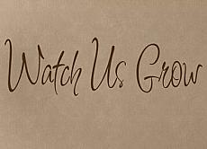 Watch Us Grow Wall Decal - Trading Phrases